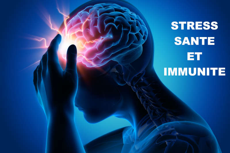 Les effets du stress sur la santé et l’immunité ImmunoNaturo